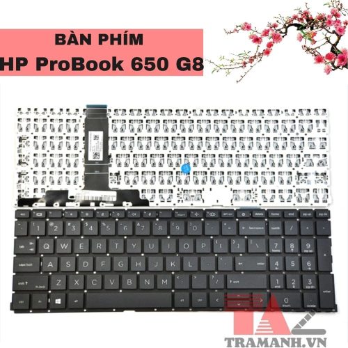 Bàn Phím HP ProBook 650 G8 - Đà Nẵng