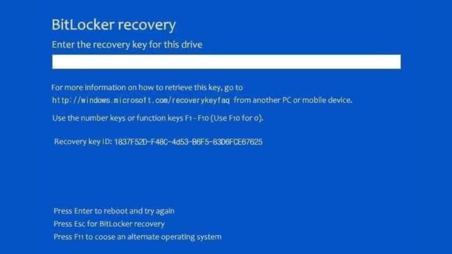 Bitlocker Recovery Screen Cần Chú ý Cảnh Báo - Trâm Anh Laptop